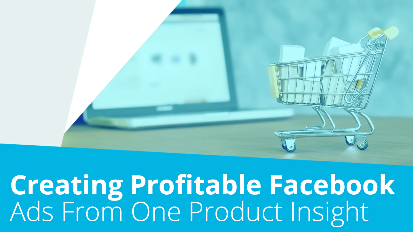 Profitable Facebook Ads with One Product Insight - Tadpull